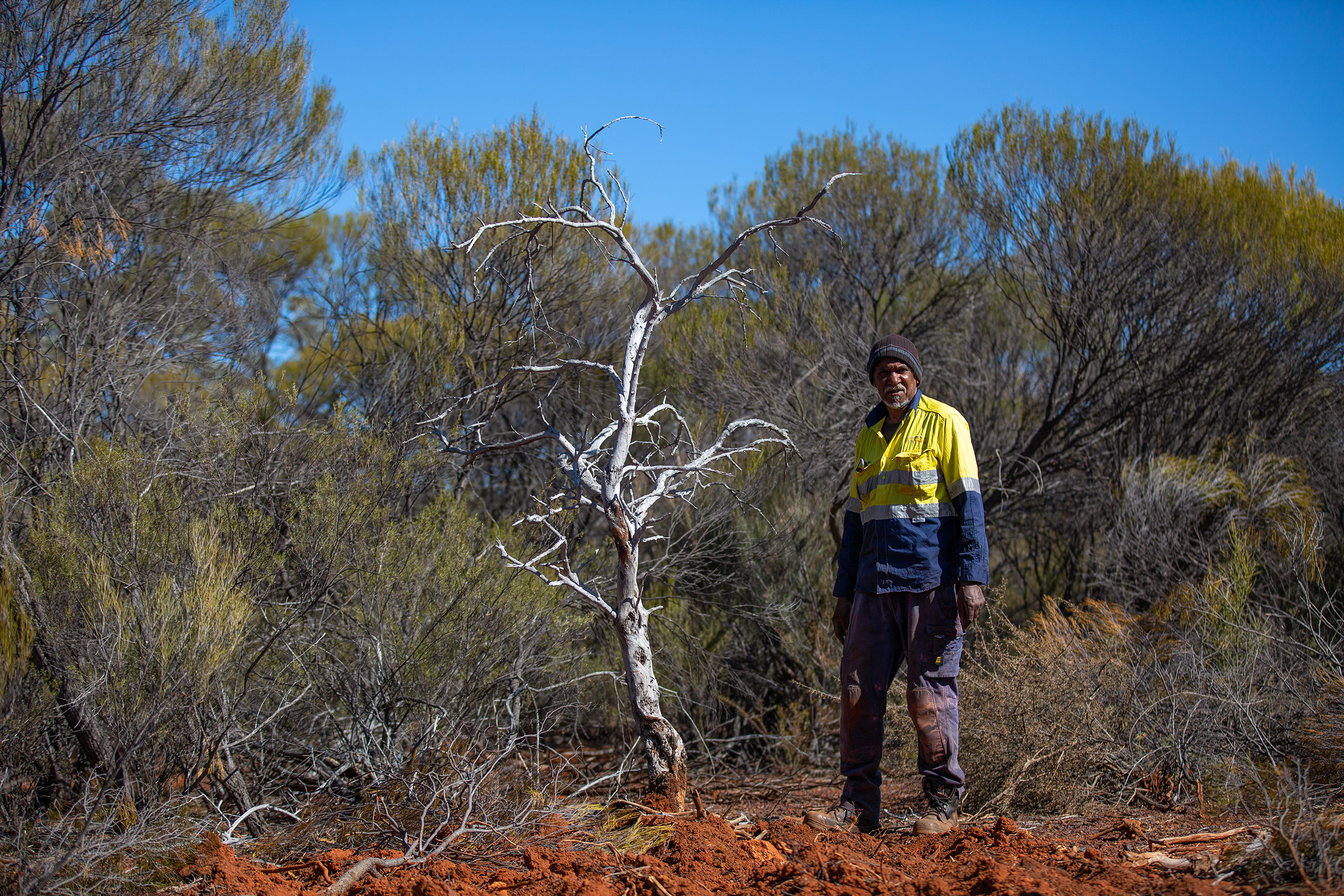 Rangers in the Rangelands