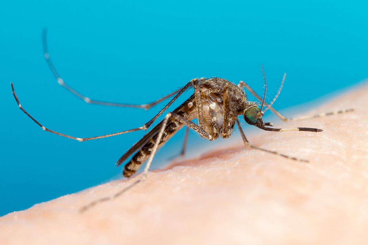 Coordinated response to Japanese encephalitis risk