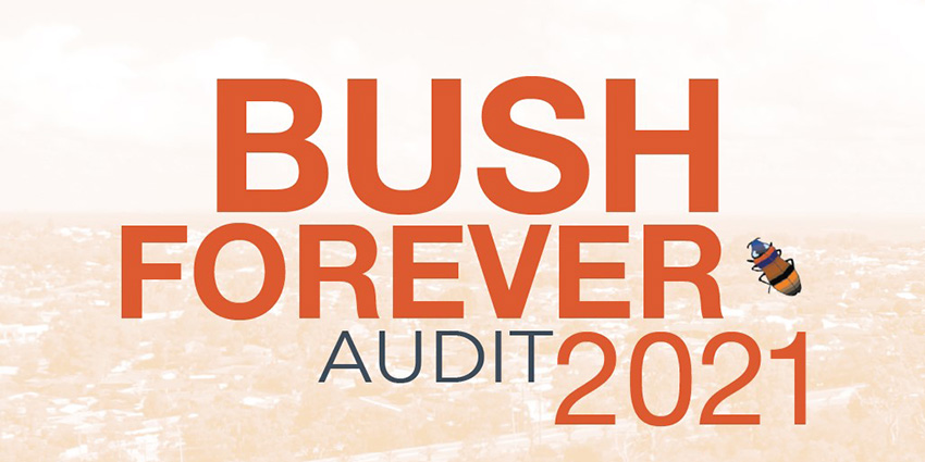 21 years of keeping bush in the city