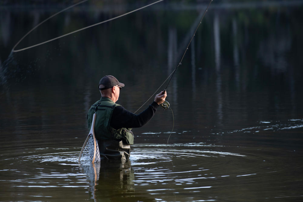 World Recreational Fishing Conference: Comparing WA's digital data ...