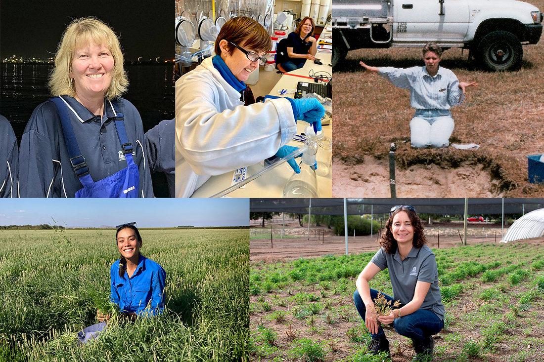 International Day of Women and Girls in Science spotlight