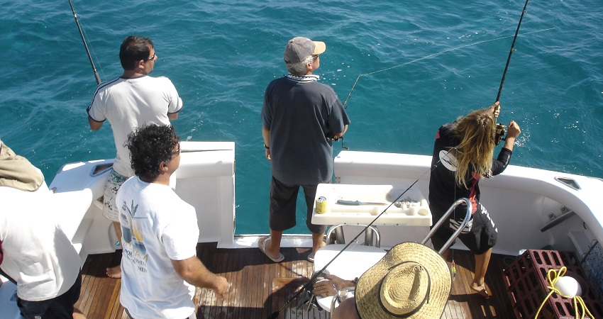 New schemes open to support West Coast demersal scalefish recovery