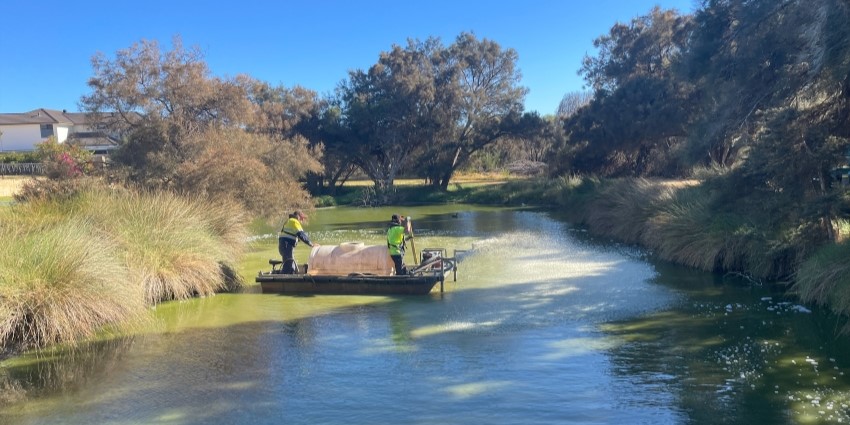 Innovative clay trial improves estuary water quality