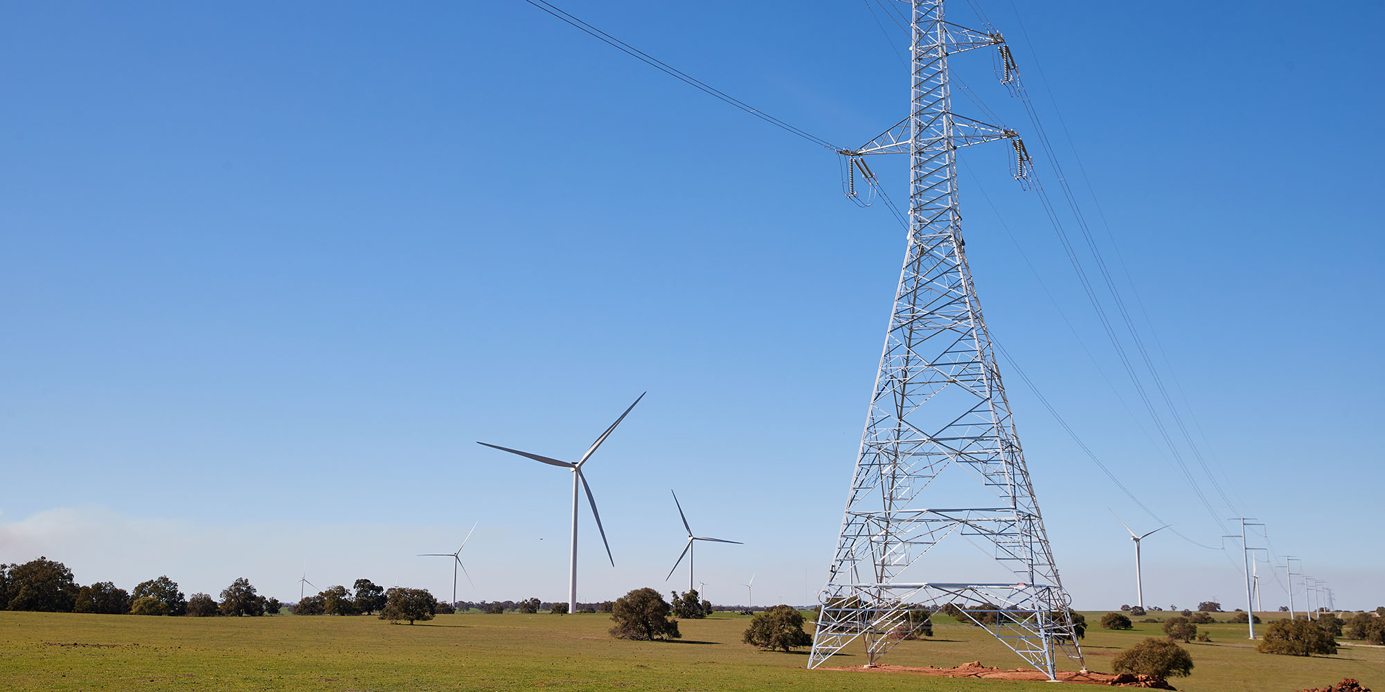 Transitioning the electricity network for our future energy needs
