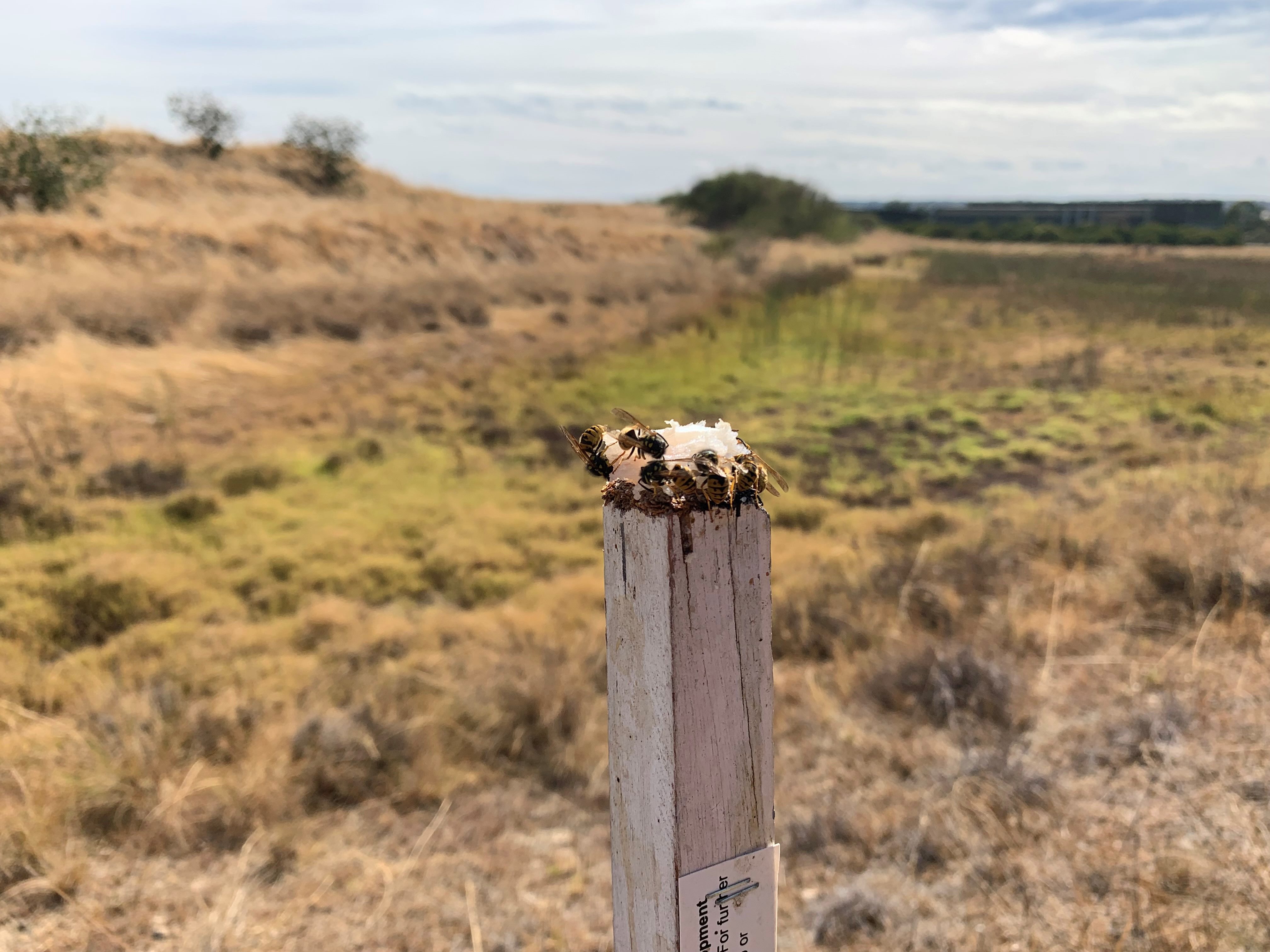 NATIONAL BIOSECURITY WEEK: Community asked to be on the lookout for ...