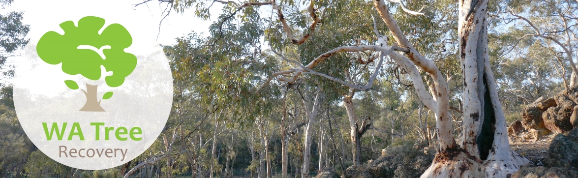 WA Tree Recovery | Western Australian Government