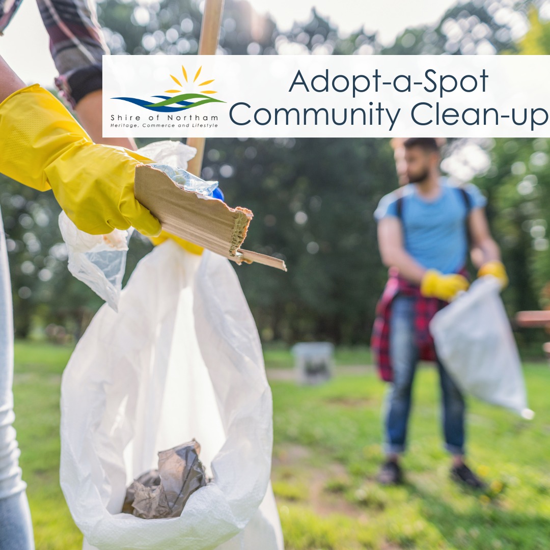 Adopt-a-Spot Community Clean-up