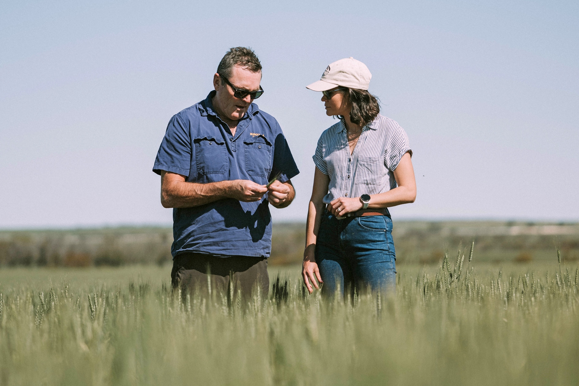2026 WA Crop Sowing Guide now available to boost businesses
