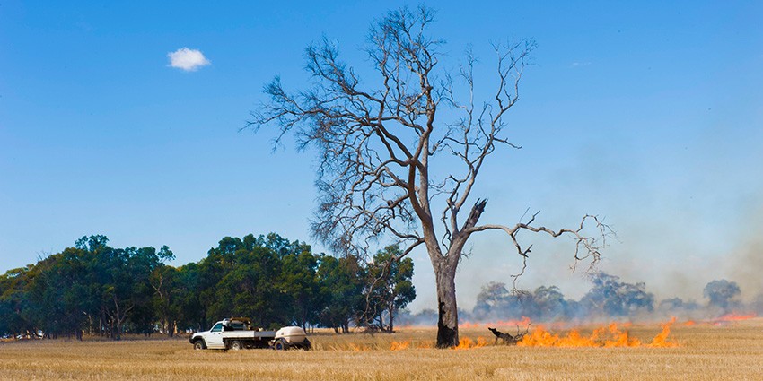 Are you bushfire ready?