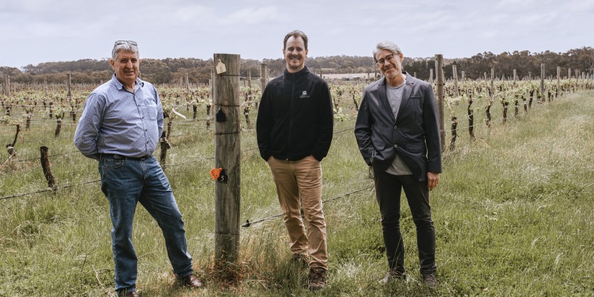 Wine clone trial to reveal benefits to Western Australian vignerons