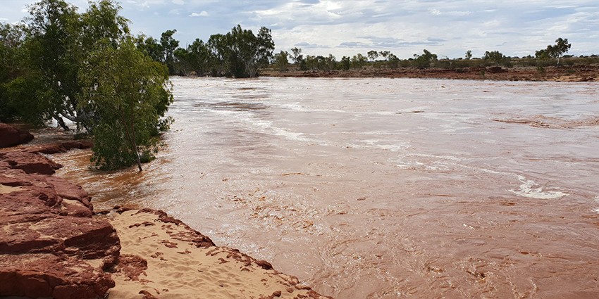 Gascoyne flows an opportunity for Carnarvon irrigators