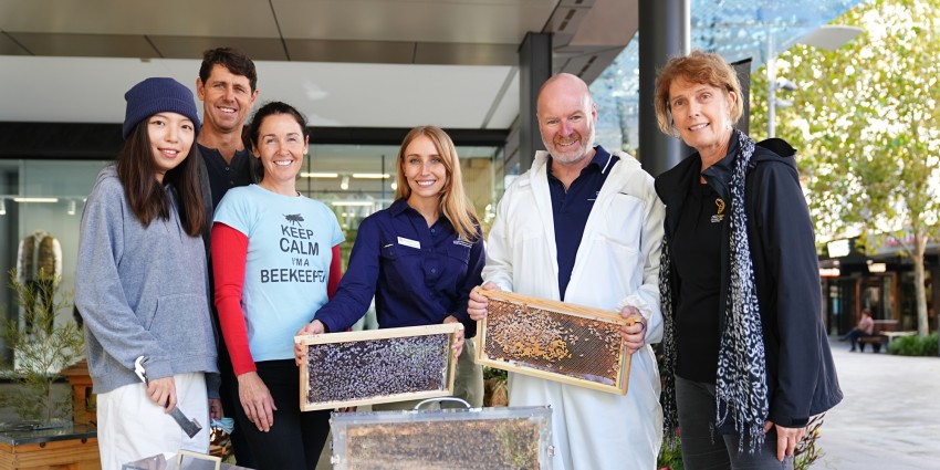Murray Street Mall to be a hive of activity on World Bee Day