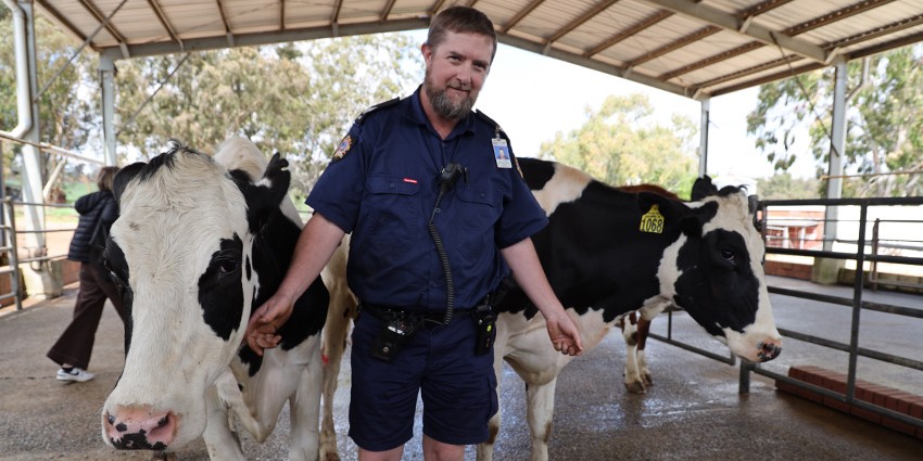 New technology at Karnet dairy helping prisoners prepare for greener ...