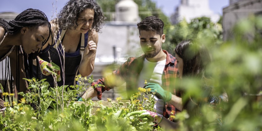 Grants awarded to help grow community gardens