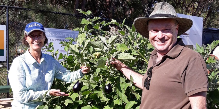 Perth gardeners recruited to combat pests