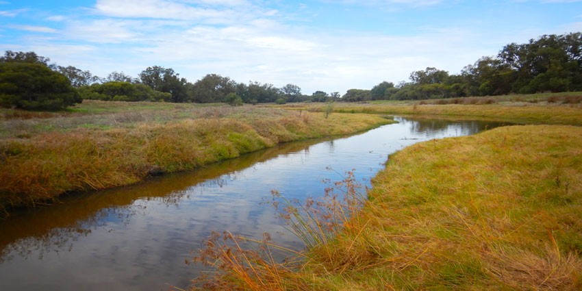 Serpentine groundwater allocation limits updated