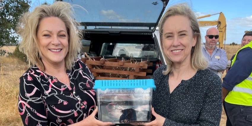 New 'fish hotels' to boost climate resilience in Harvey River