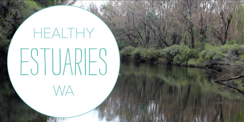 Catchment nutrient reports 2019