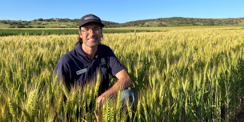 Australian Agronomy Conference 2024: Break crops and pastures essential ...